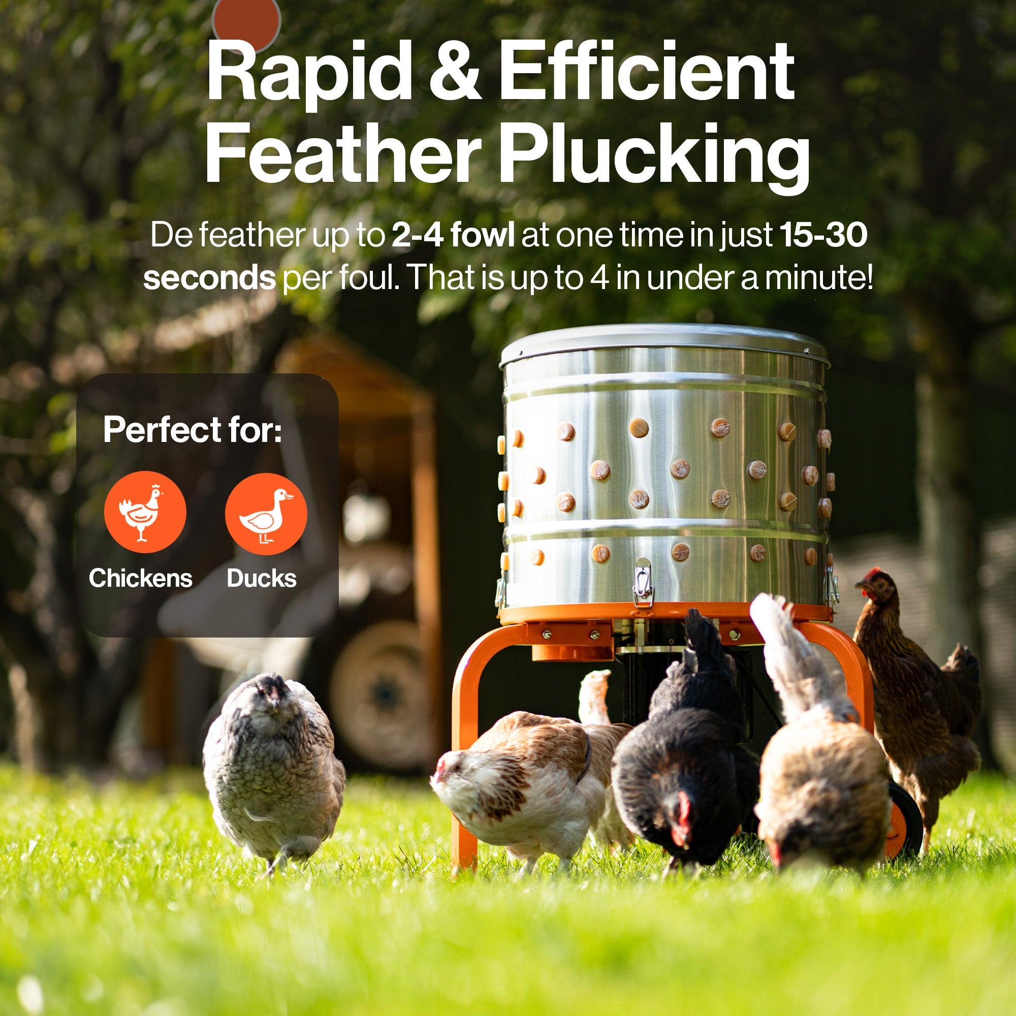 Featherless in Seconds: Meet the SuperHandy 800W Chicken Plucker That’